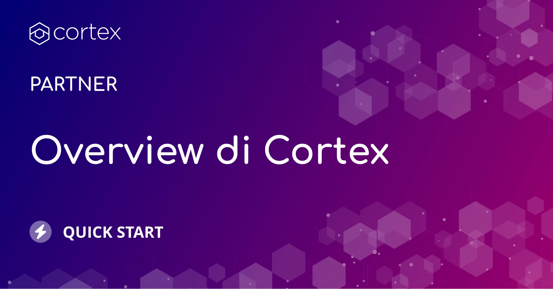 Cortex - Partner: Overview